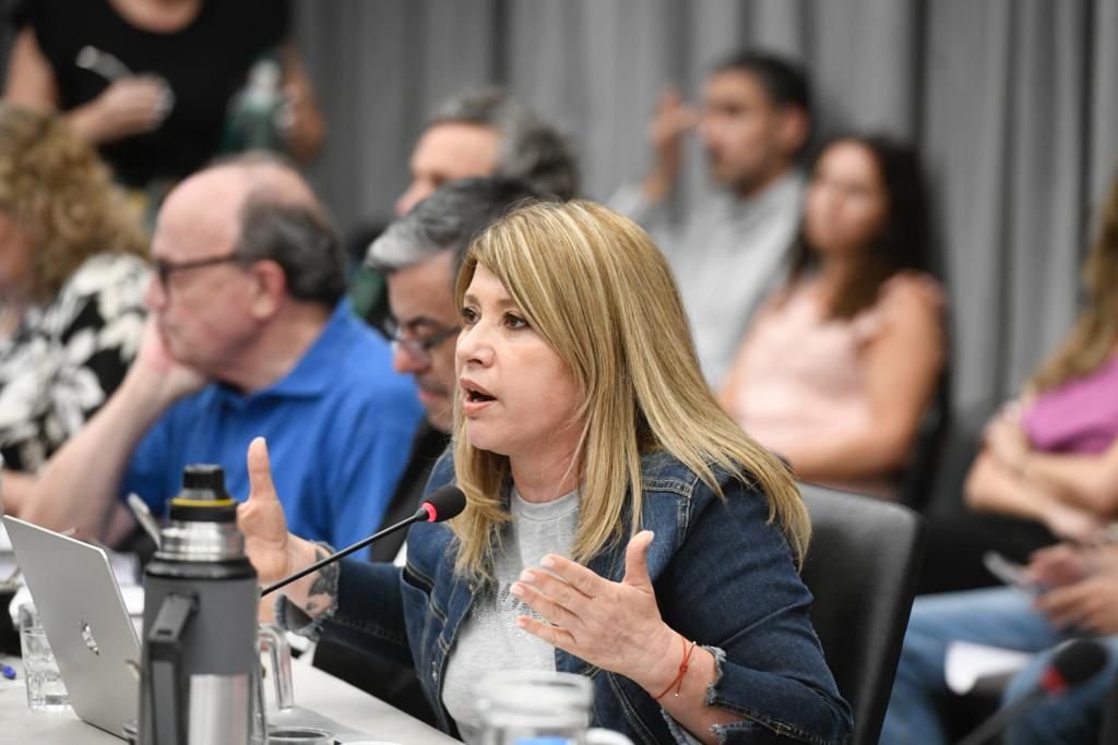 La diputada Mónica Litza celebró el rechazo del DNU en el Senado