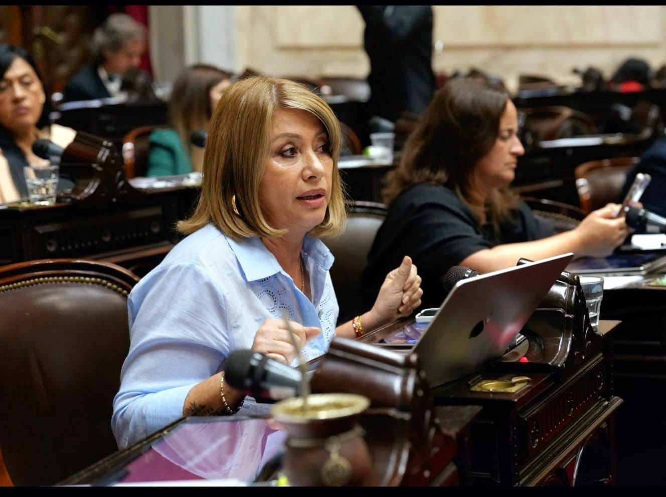 Mónica Litza: "Los intendentes reclaman mayor poder en el armado de ...