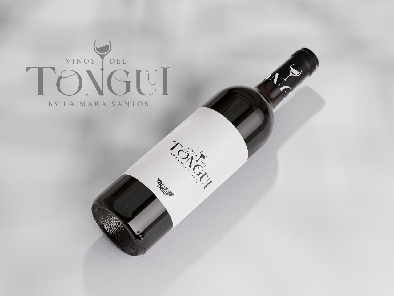 De Ingeniero Budge al mundo: Brian Mix de "La Mara Santos" lanza una ...